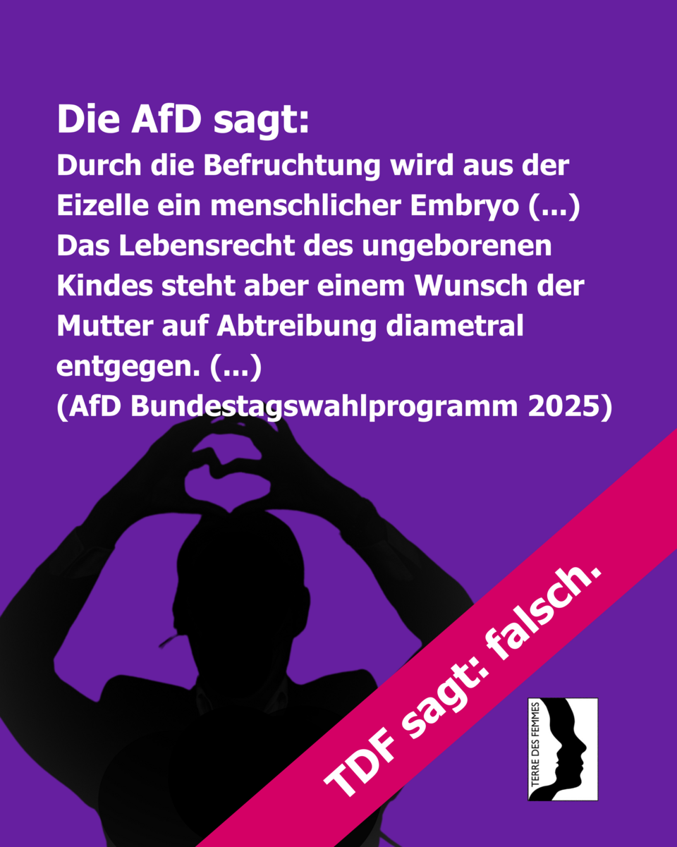 Acht frauenfeindliche Vorhaben der AfD | frauenrechte.de